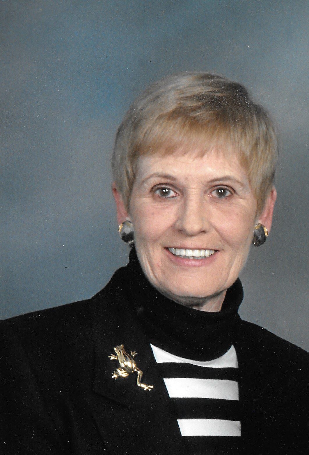 Susan Wesselschmidt Obituary - St. Louis, MO