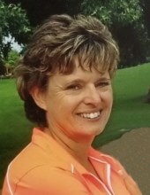 Susan L. Shigemura Obituary - Springfield, IL
