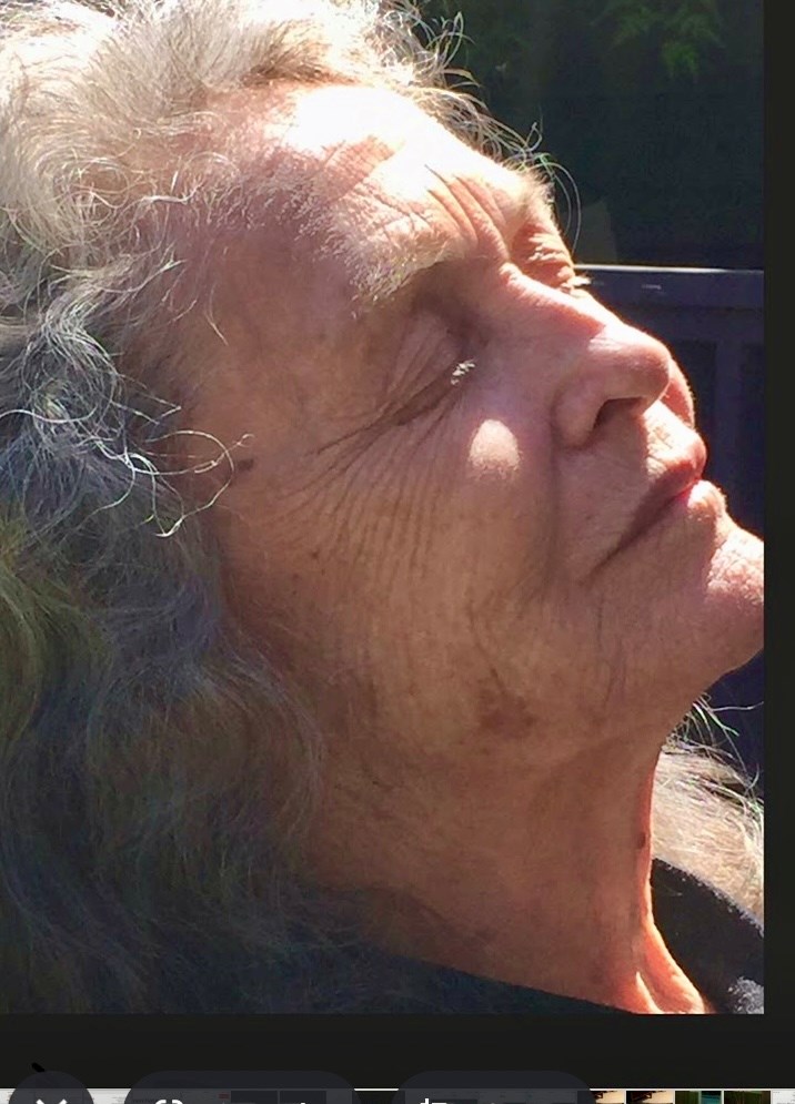 Susan Pearson's Instagram, Twitter & Facebook on IDCrawl