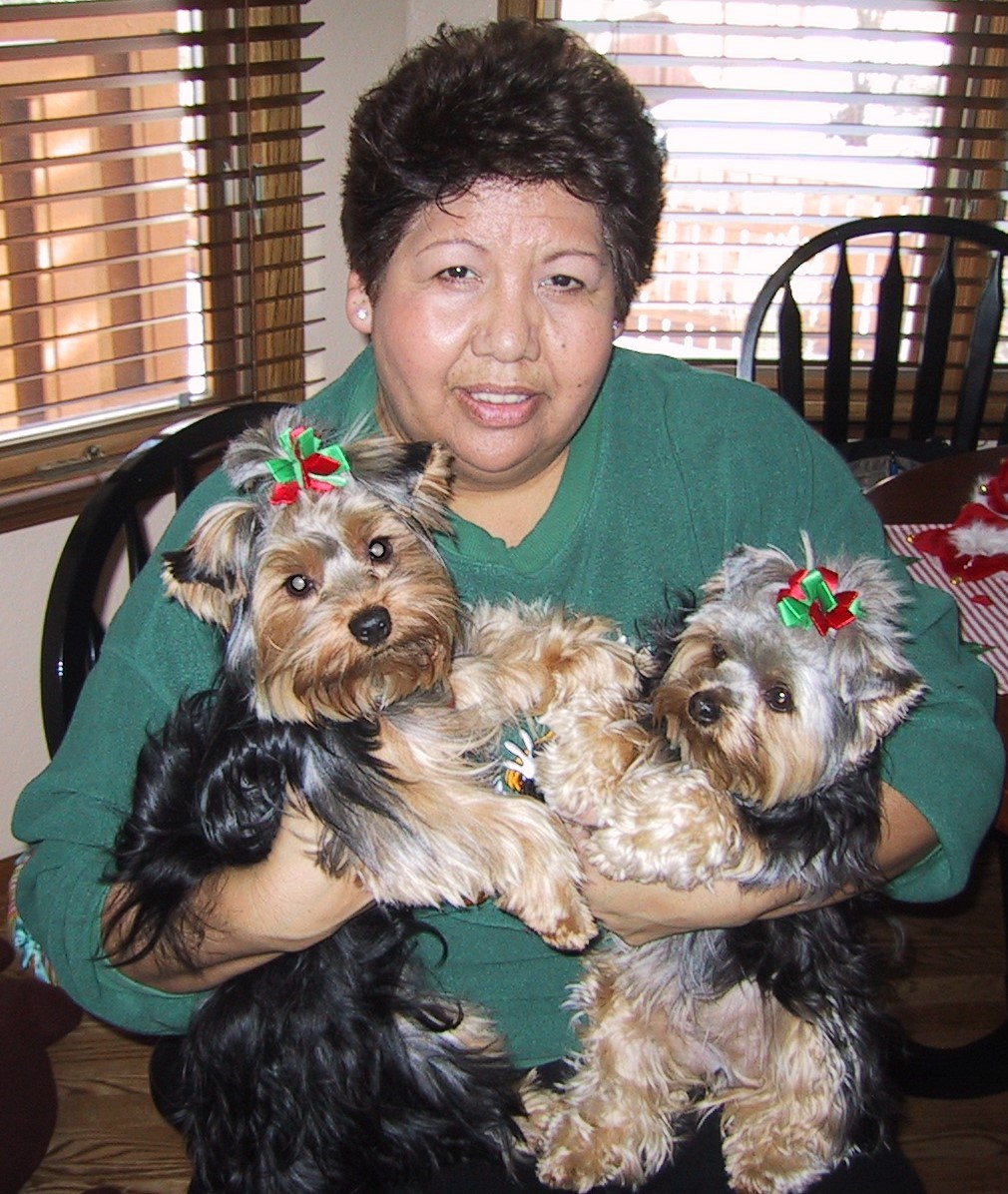 Sarah Lucio-Adams Obituary - Loveland, CO