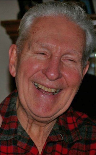 Leonard Danek Obituary - Rolling Meadows, IL