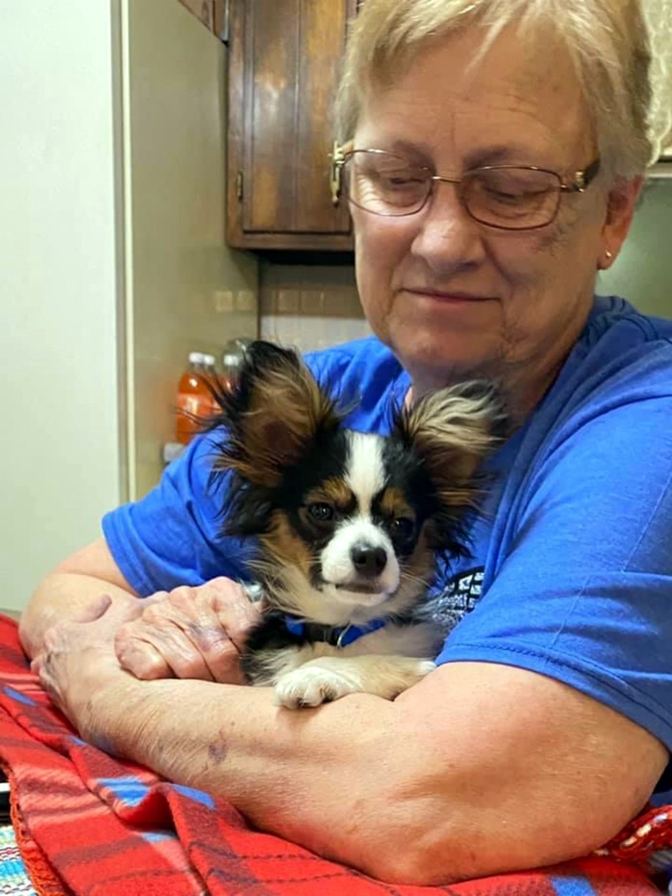 Amanda Mcafee's Instagram, Twitter & Facebook on IDCrawl