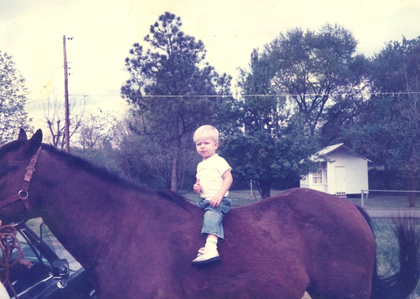 William Perry Reather Jr. Obituary - Van Buren, AR