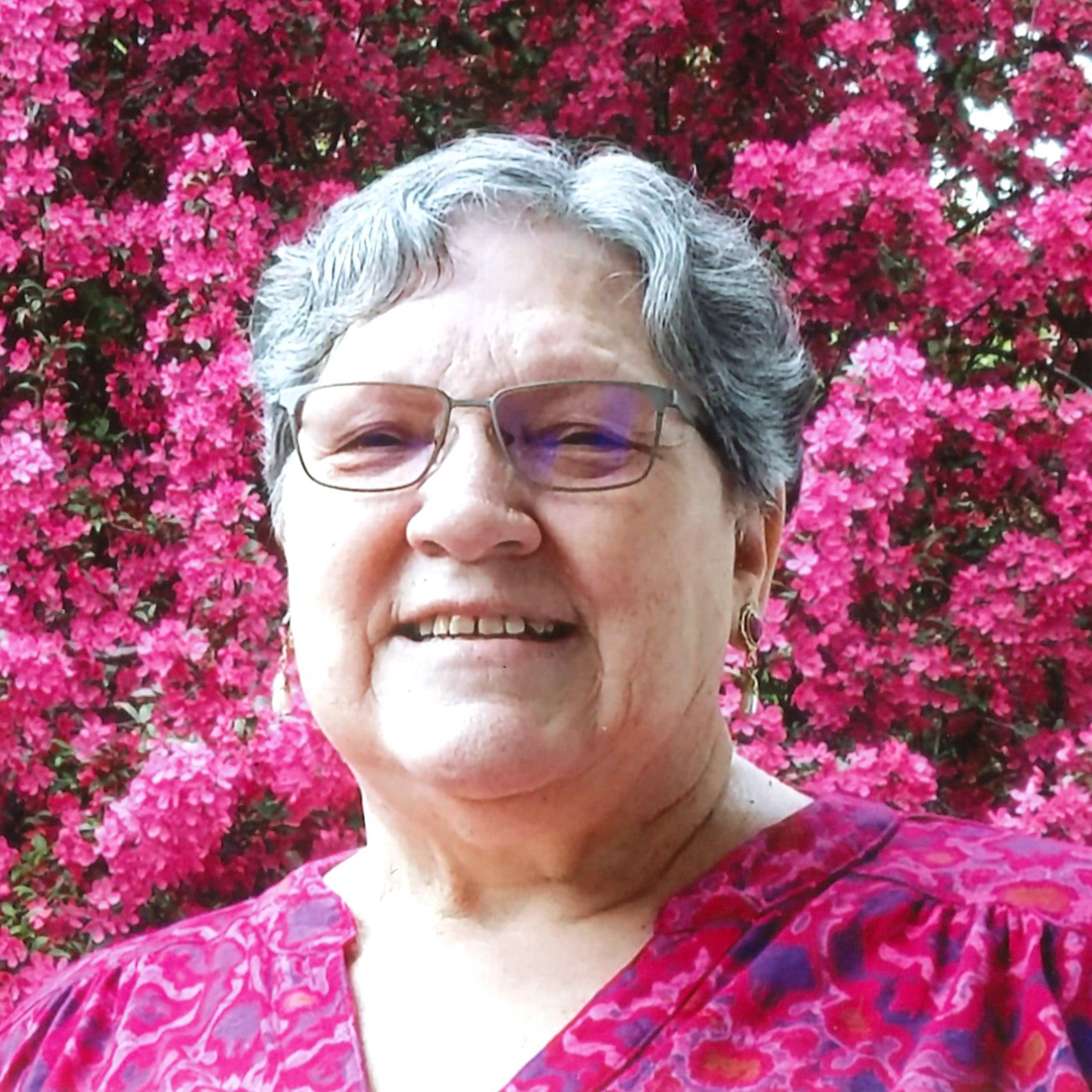 Carol Dever Obituary - Dorr, MI