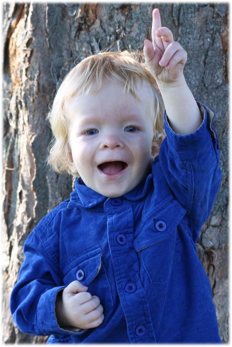 Samuel Stricklen Obituary - Clinton Township, MI