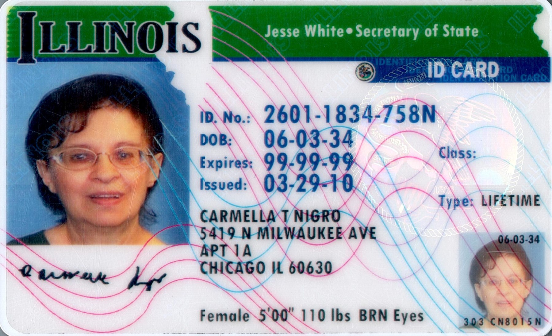 Carmella Nigro Obituary - Chicago, IL