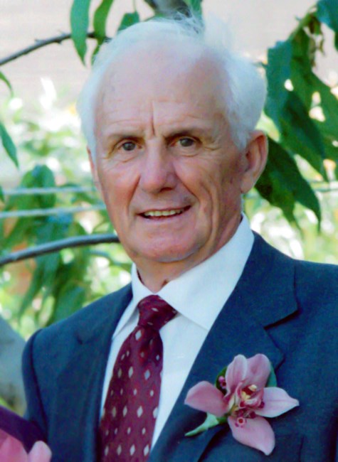 Mario Chiaradia Obituary - Toronto, ON