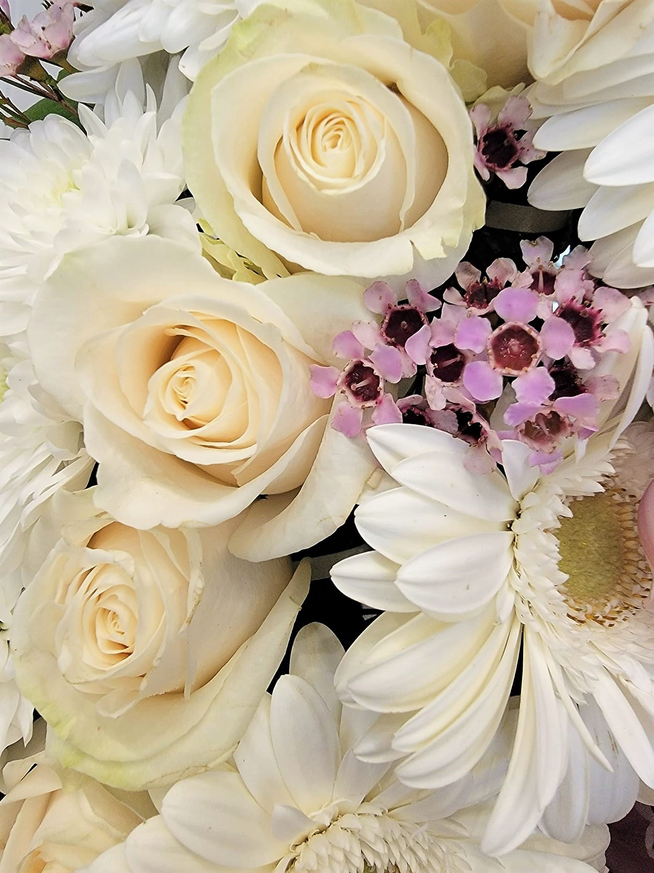 King Yuen Marr Obituary - Vancouver, BC