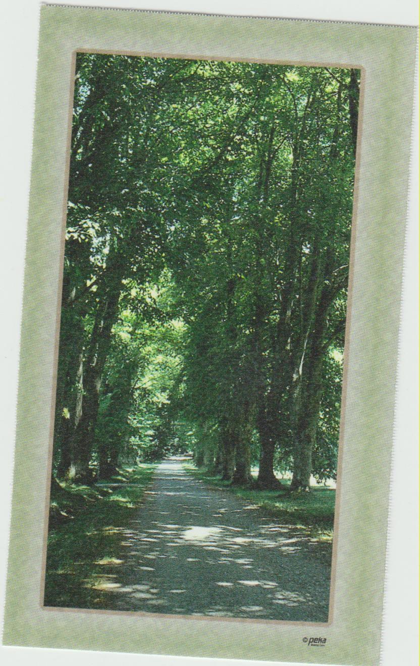 Eileen Reilly avis de décès - Deer Park, NY