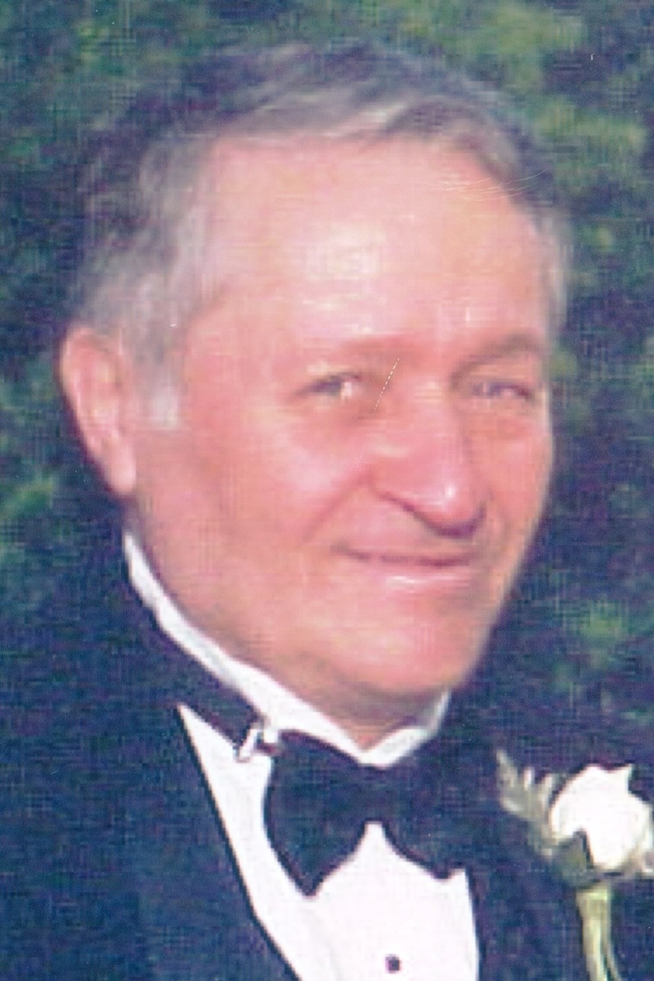 Michael Mele Obituary - Springfield, IL