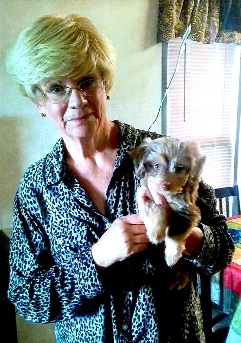 Melody St. Clair Obituary - Canton, TX