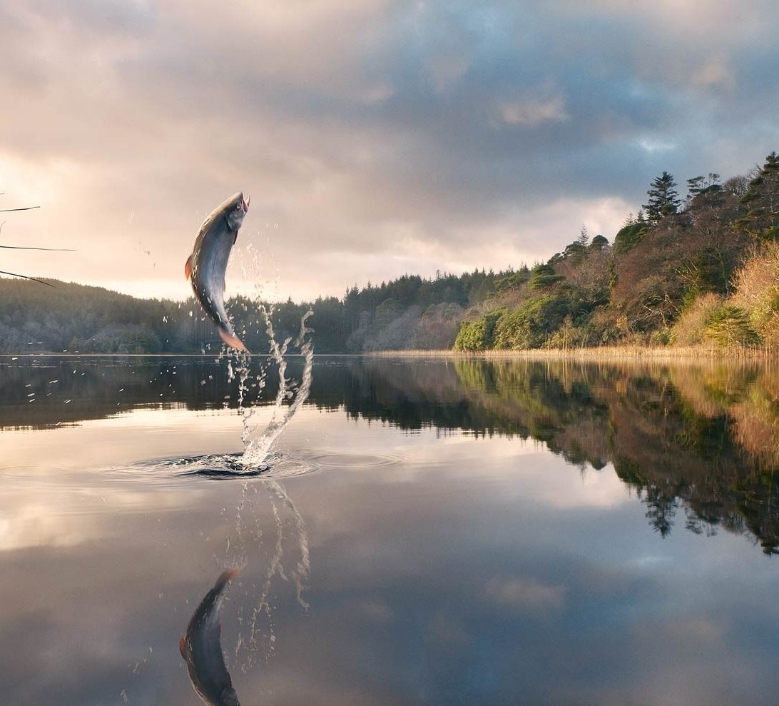 Steve Avant Obituary - Sylacauga, AL