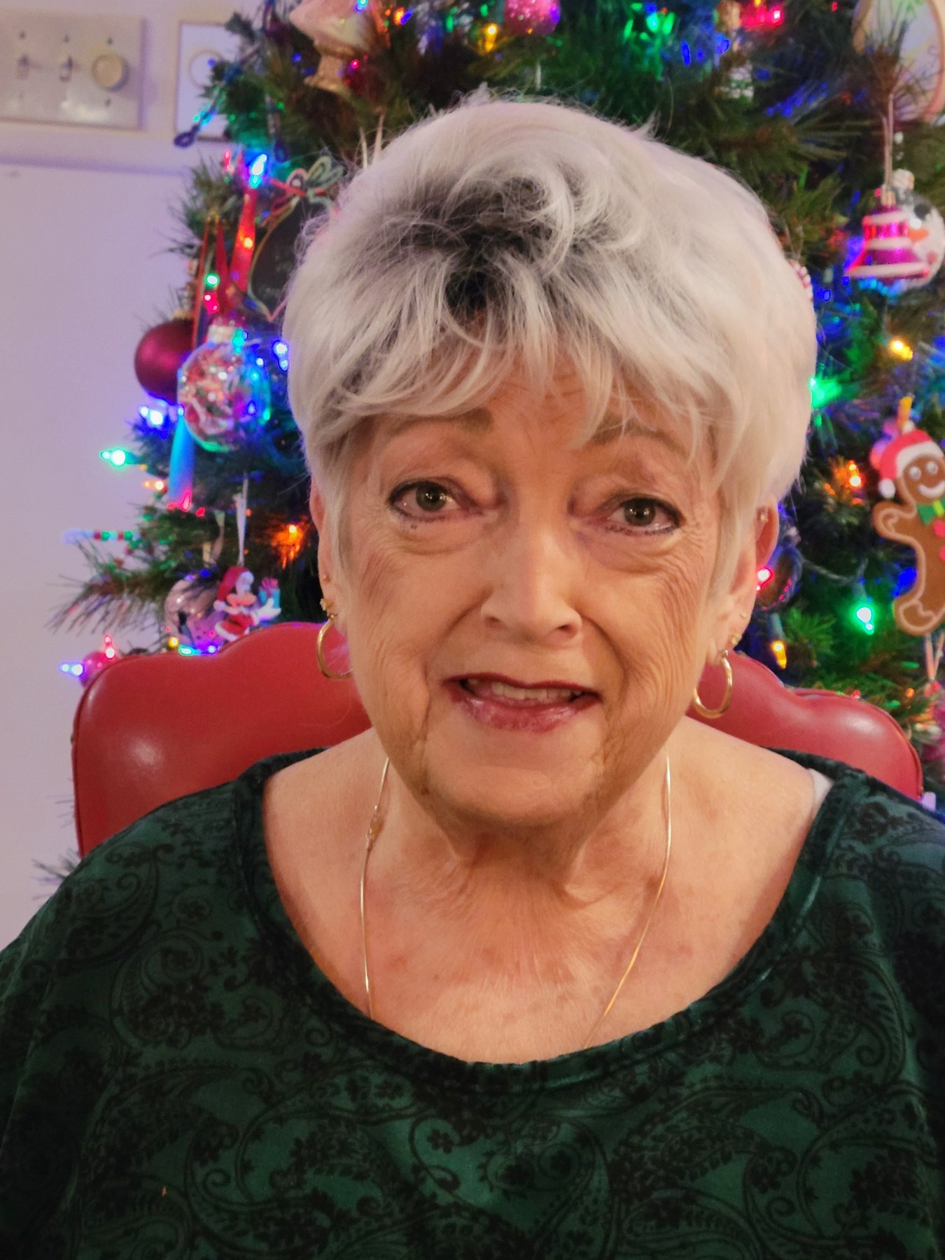 Shirlee Robinson Obituary - Greenville, OH