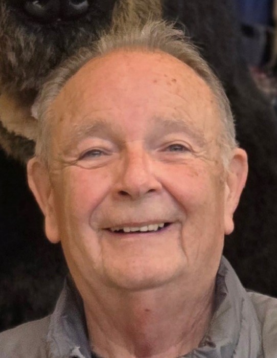 Wayne Lawson Obituary - Hamilton, ON