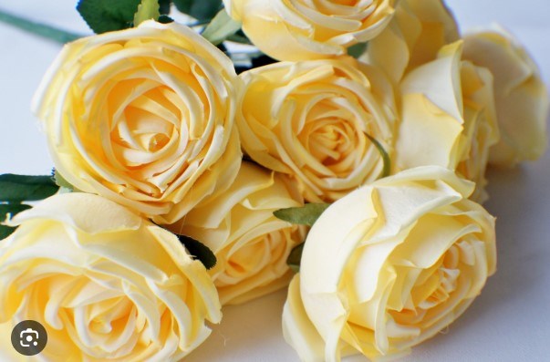 Joan Frank Obituary - Renton, WA