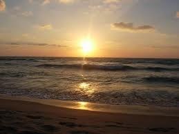 Max Fine Obituary - Dix Hills, NY