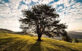 William Nowak Obituary - Saskatoon, SK
