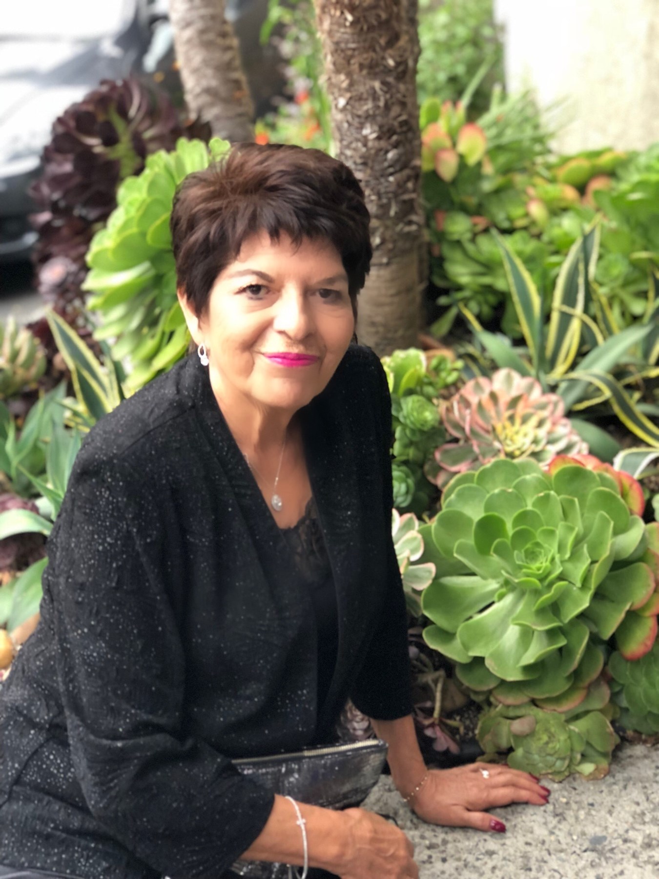 Rosa Perez Obituary - Houston, TX