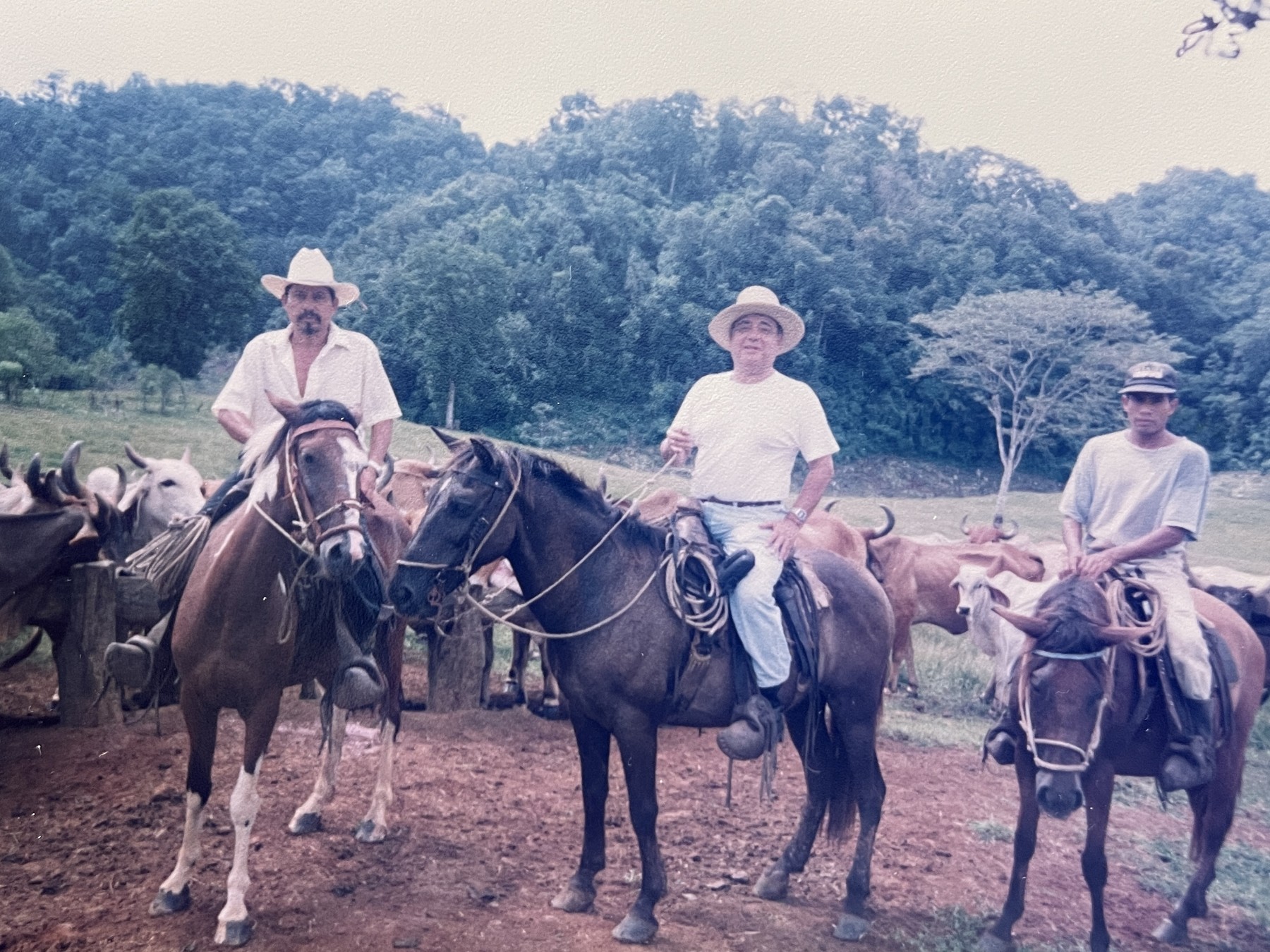 Jose Pivaral Obituary - South Gate, CA