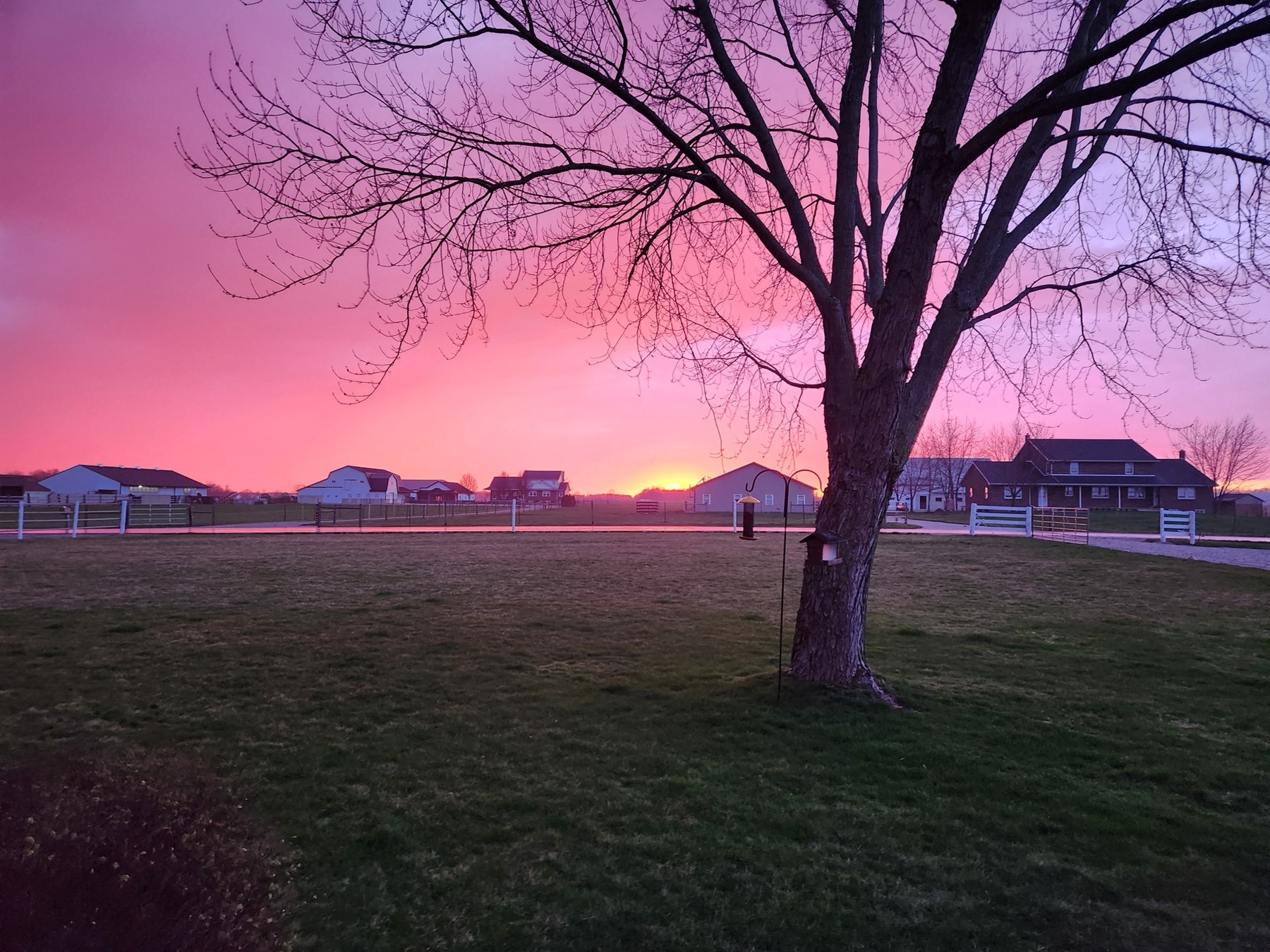 Anna Schwartz Obituary - Fort Wayne, IN