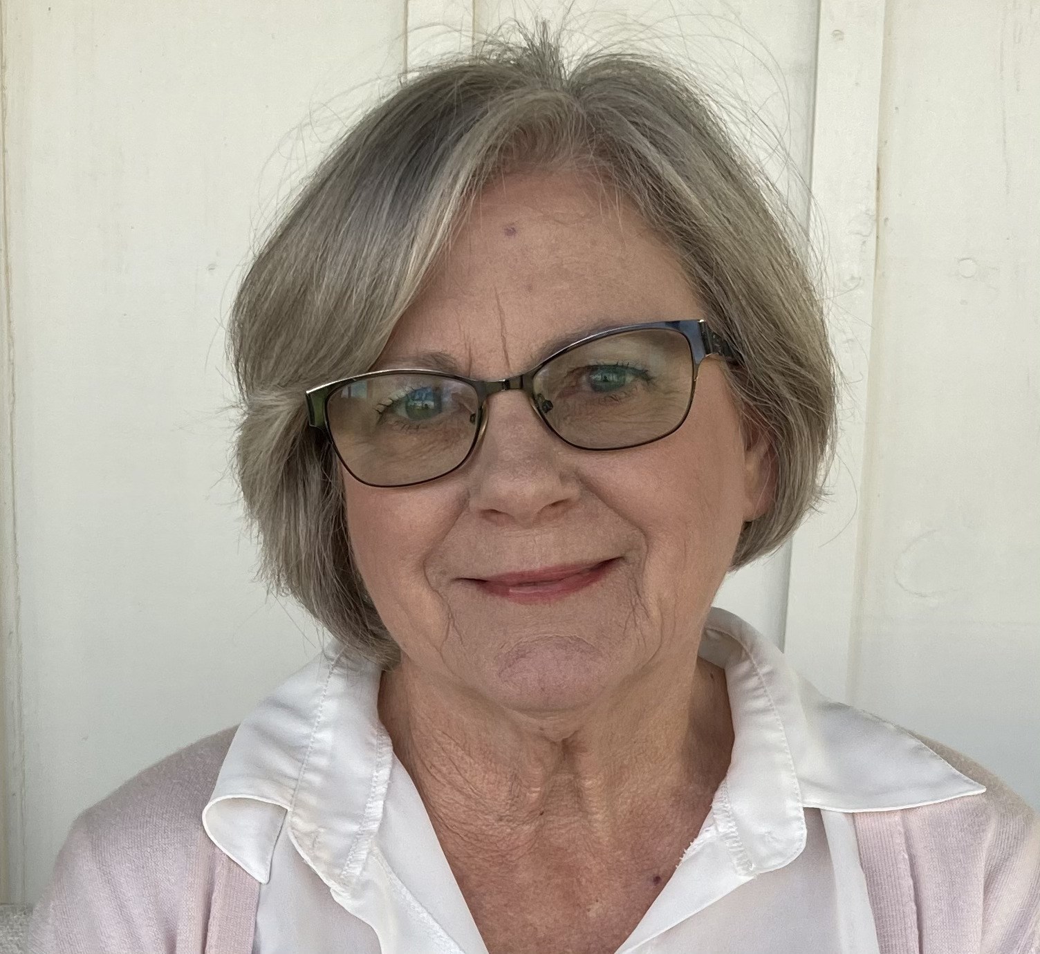 Susan Hemphill Obituary - Hamilton, TX