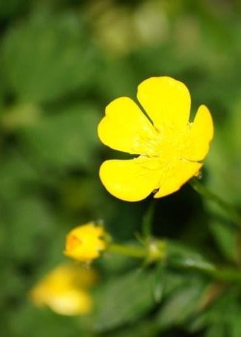 Timothy Findlay Obituary - Vancouver, BC