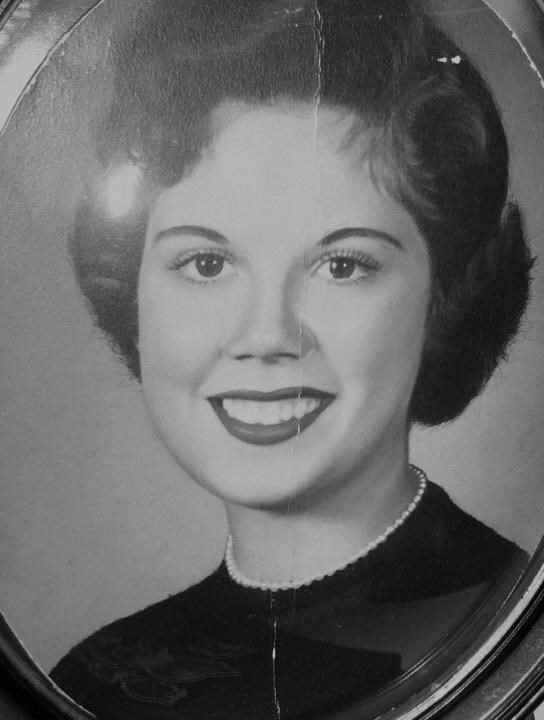 Rose Carroll's Instagram, Twitter & Facebook on IDCrawl