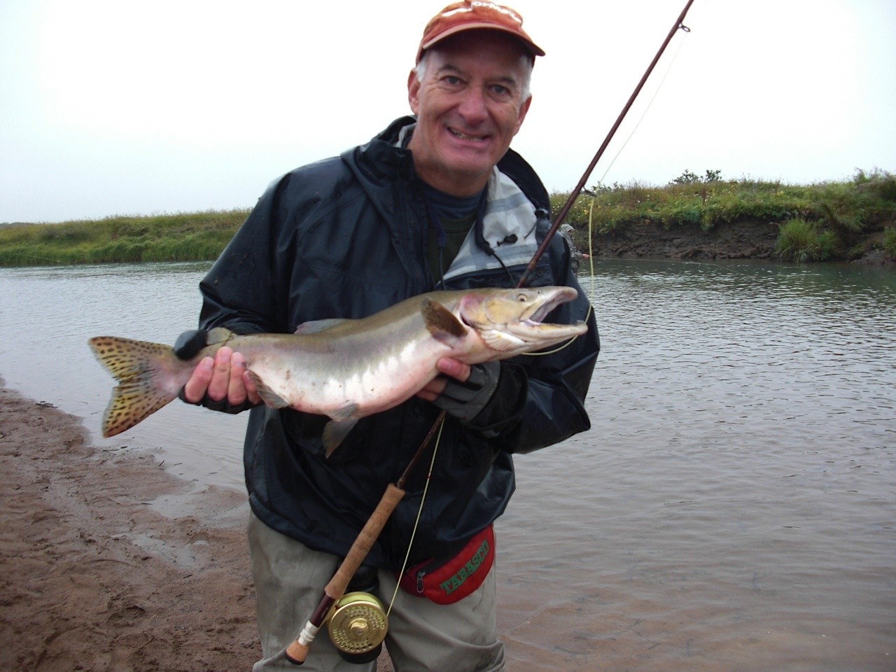 David Andrew Patterson Obituary - The Woodlands, TX