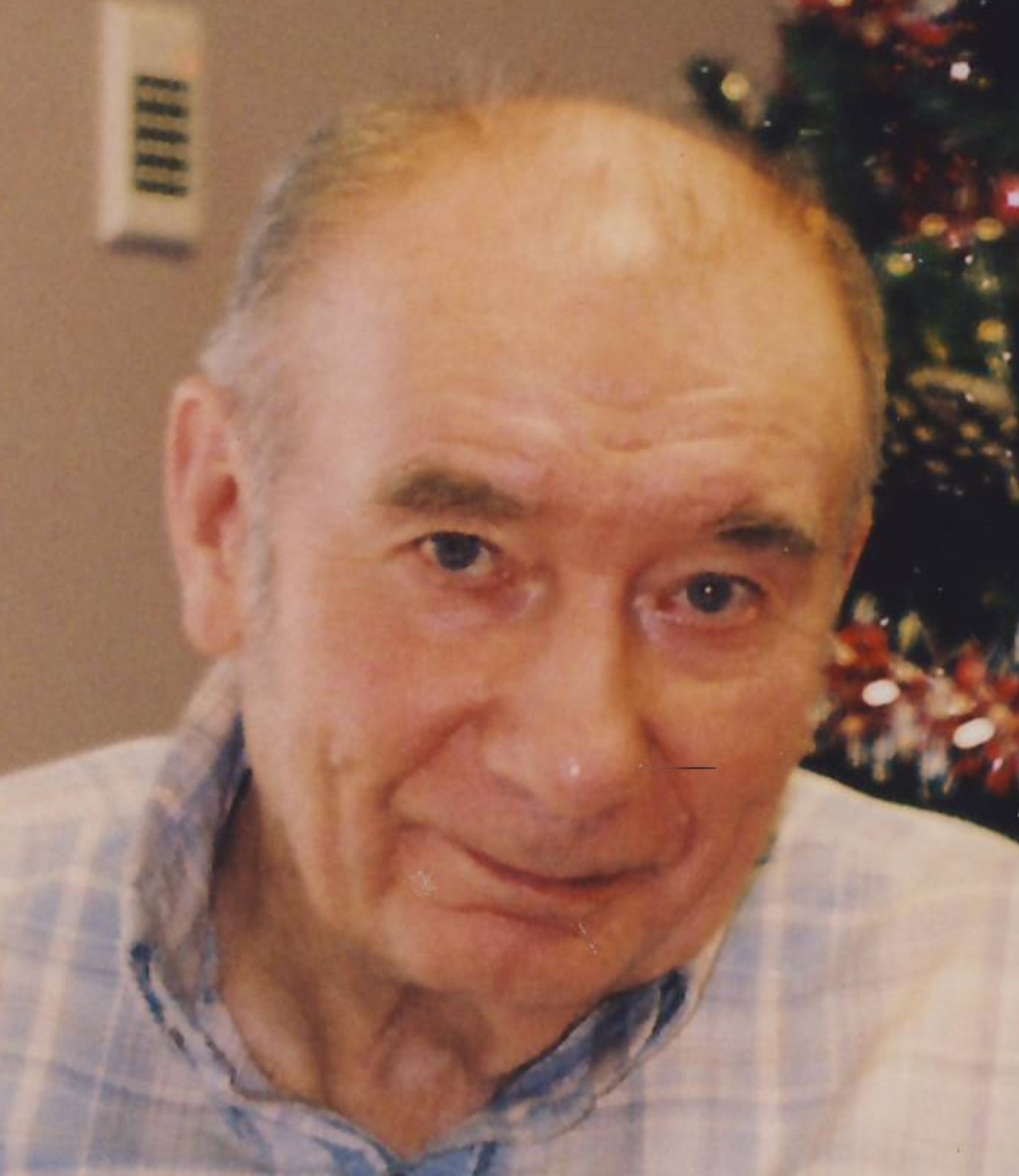 Walter Stricker Obituary - Dundas, ON