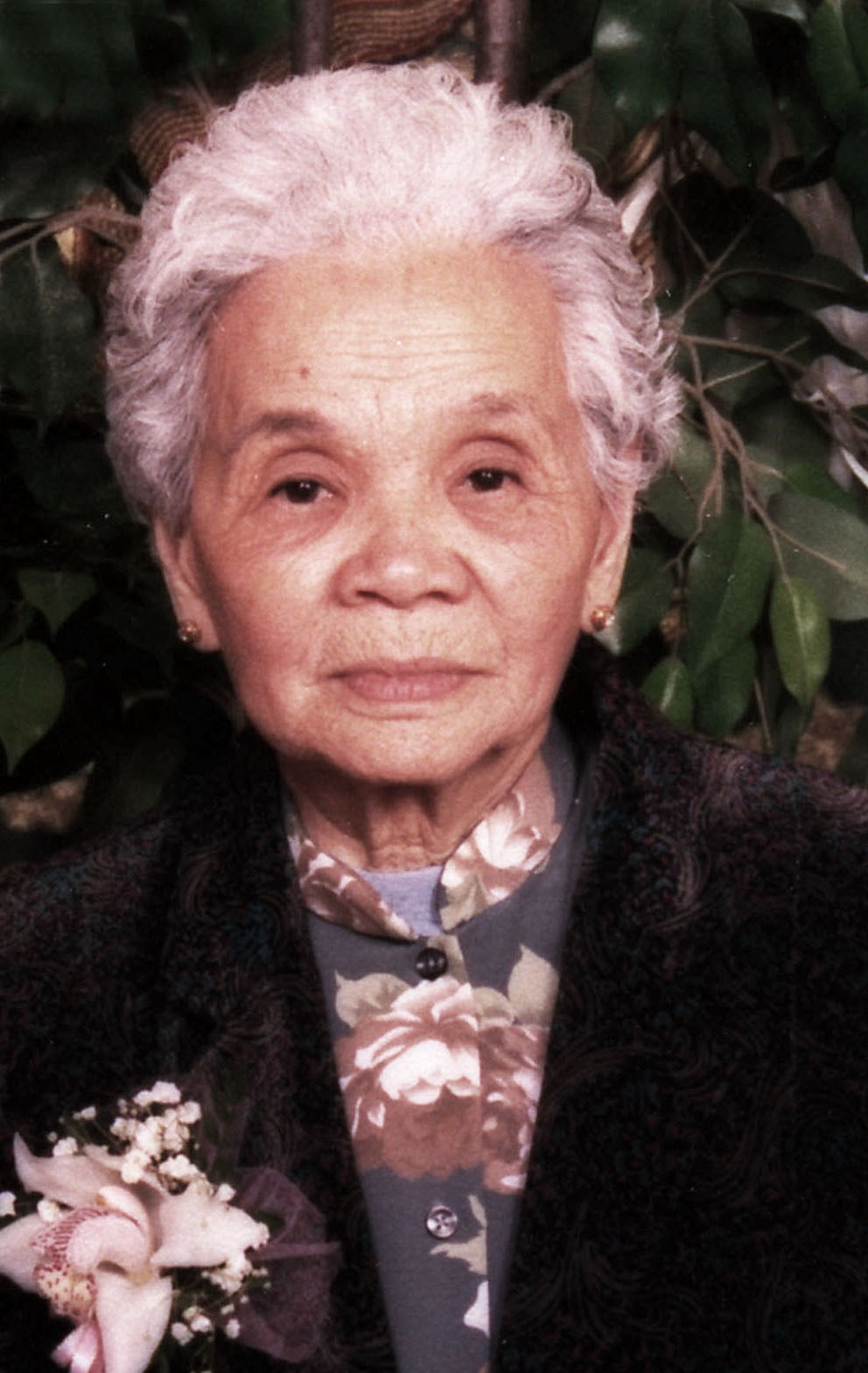 Diep Lam Obituary - San Jose, CA