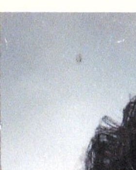 Almetta Walker Obituary - Fort Lauderdale, FL Almetta Walker Obituary - Fort Lauderdale, FL