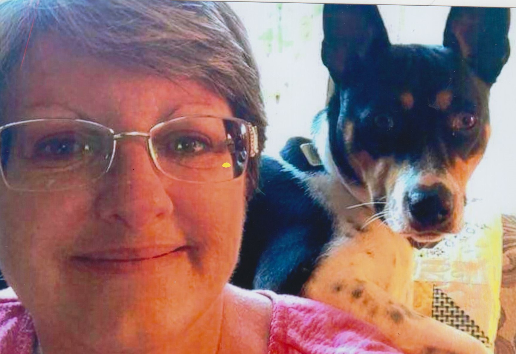 Karie Hayward Obituary - Highland, MI