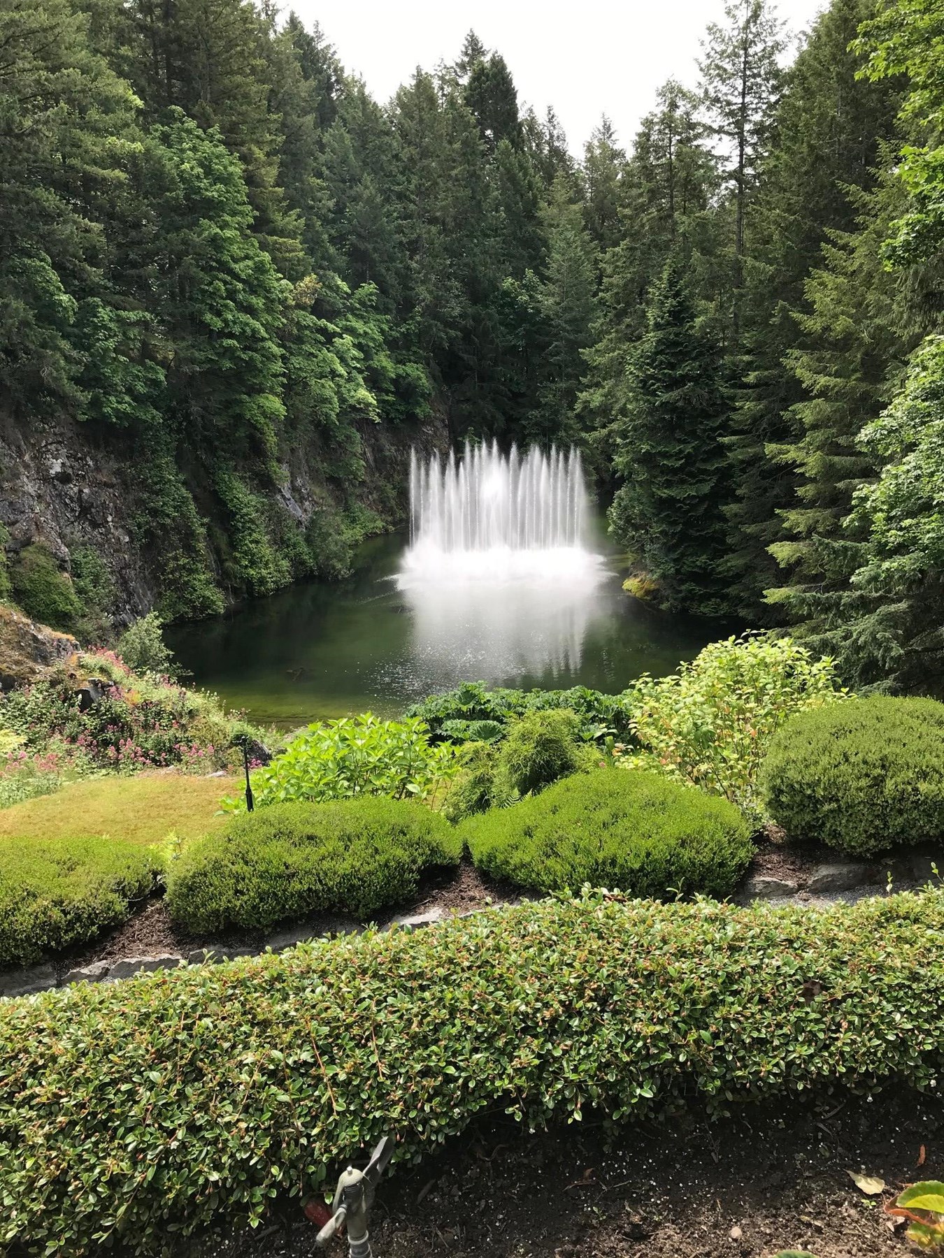 Margaret Blitch Obituary - Vancouver, BC