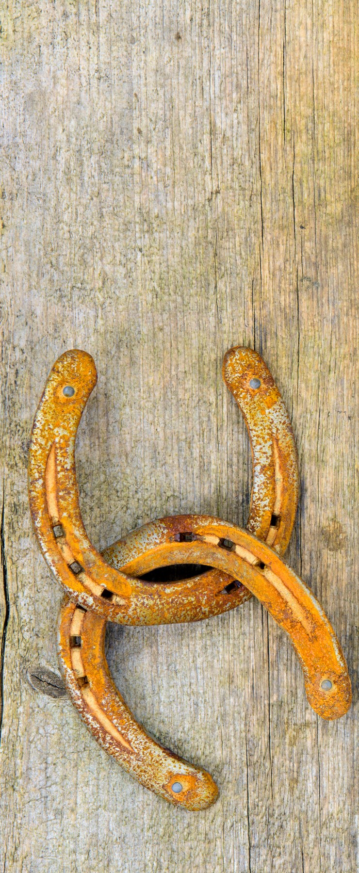 Lynn Bailey Obituary - Springfield, IL