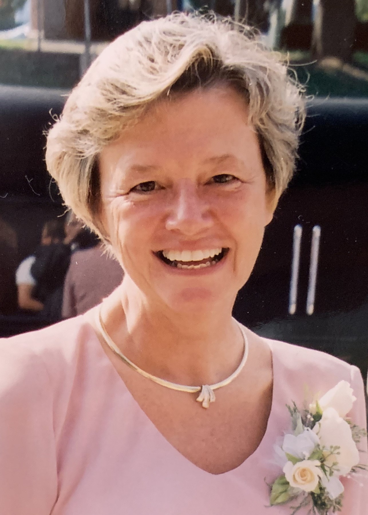 Susan Ferguson Obituary - Spring Hill, FL