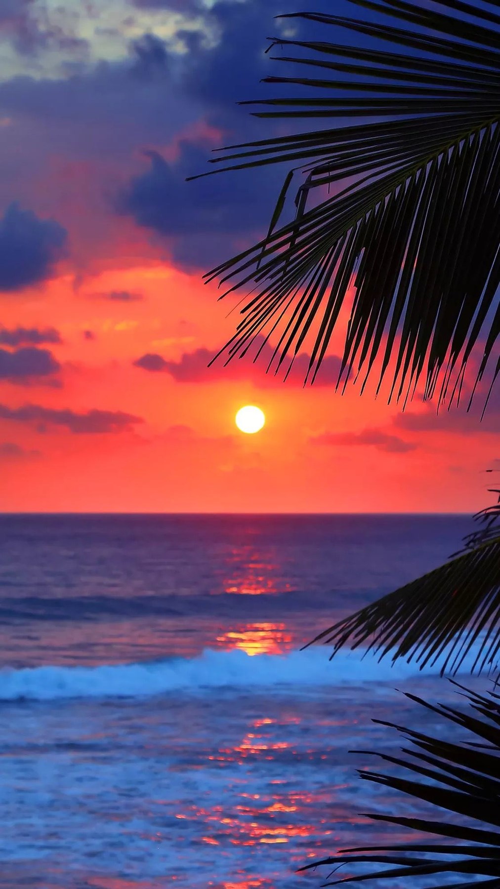 Mario Collazo Obituary - Hialeah, FL