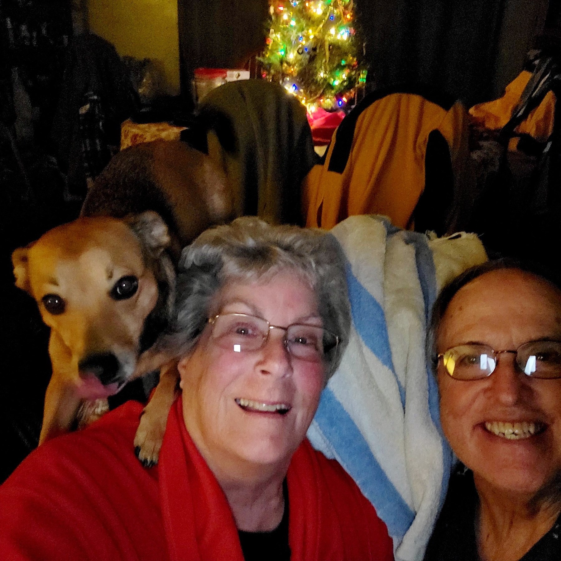 Linda Fisher Obituary - Cross Lanes, WV