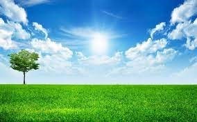 Russell Davis Obituary - Seattle, WA