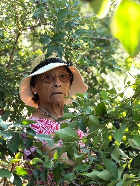 Consuelo Solis Obituary Houston Tx