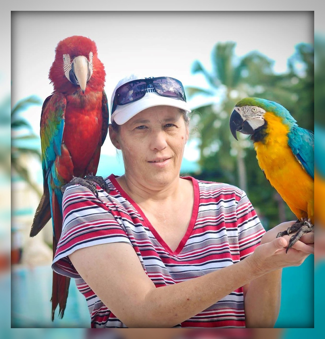 Joyce Swanson Obituary - Sault Ste. Marie, ON