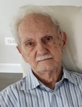 Ronaldo Smirne Obituary - Arlington Heights, IL