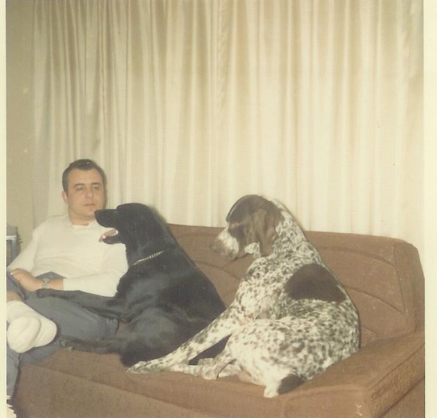 Stephen Rinaldi Obituary - Roseville, MI