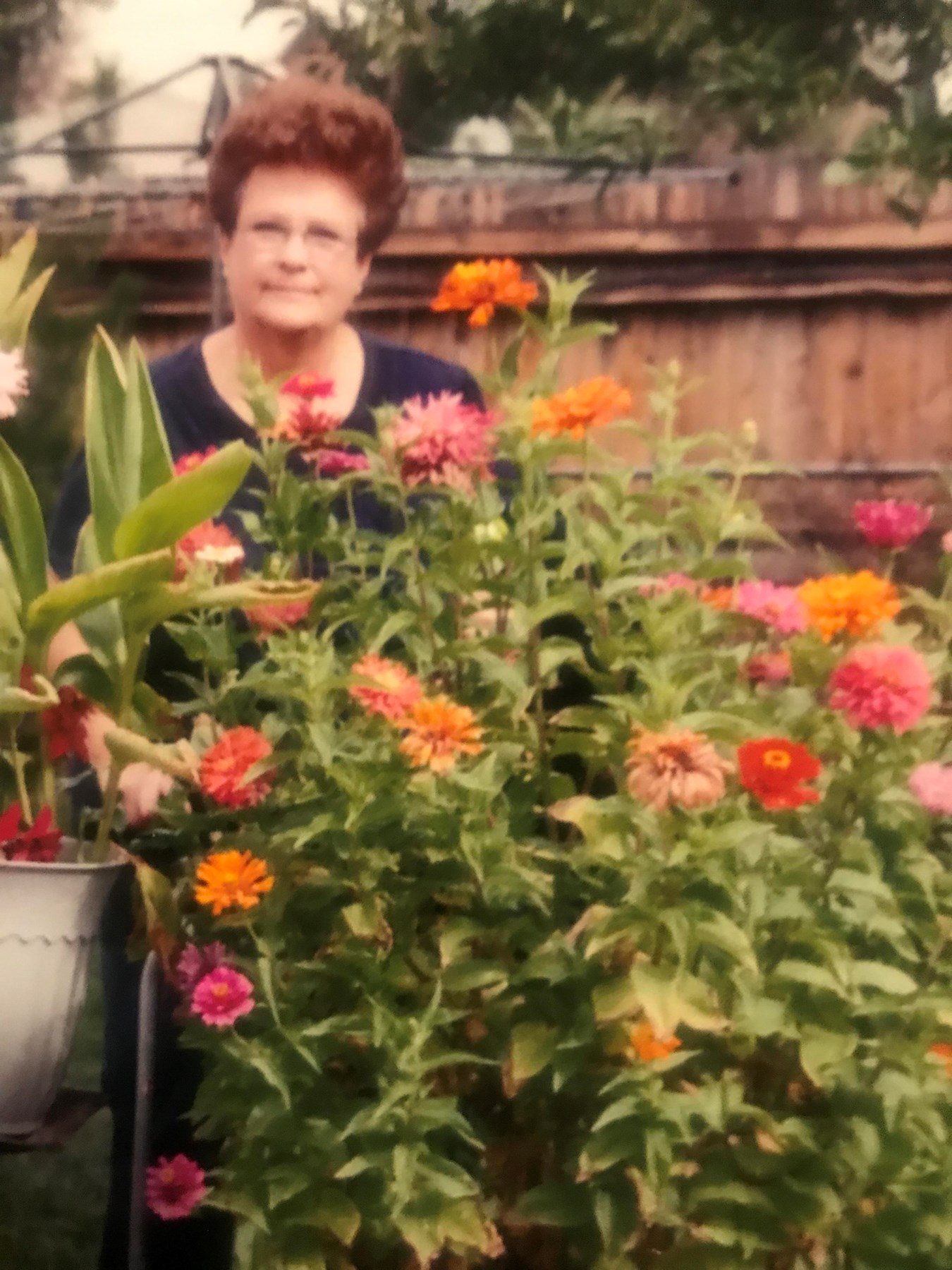 Emma Camacho Obituary - Thornton, CO