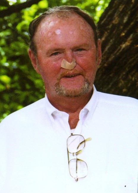 David Dalton Obituary - New Tazewell, TN