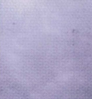 Priscilla June Morgan Obituary - San Angelo, TX Priscilla June Morgan Obituary - San Angelo, TX