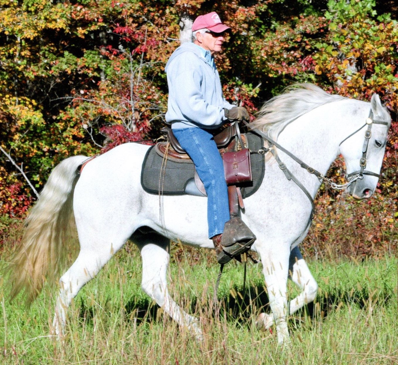 Donald Terry Obituary - Pensacola, FL