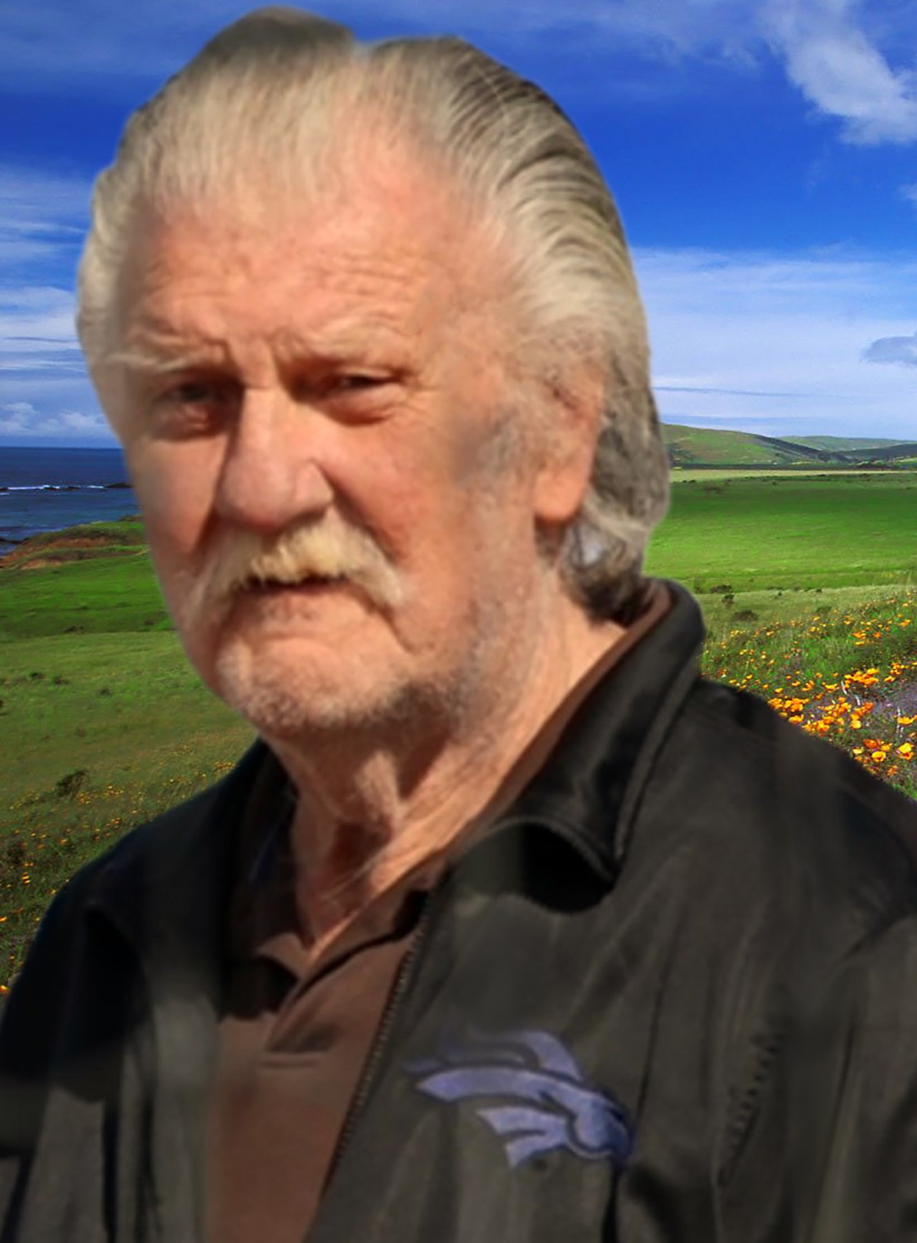 Patrick Petrie Obituary - Henderson, NV