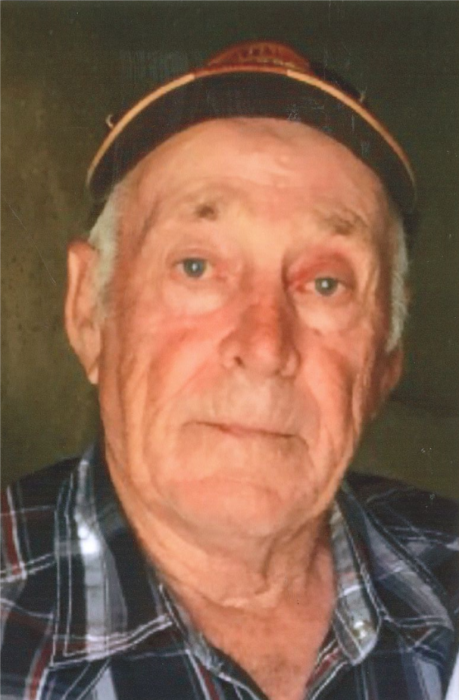 David CRONK Obituary - Parksville, BC