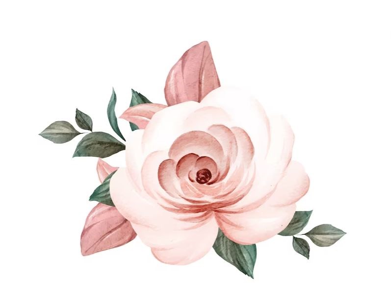 Hope Gomez Obituary - Houston, TX