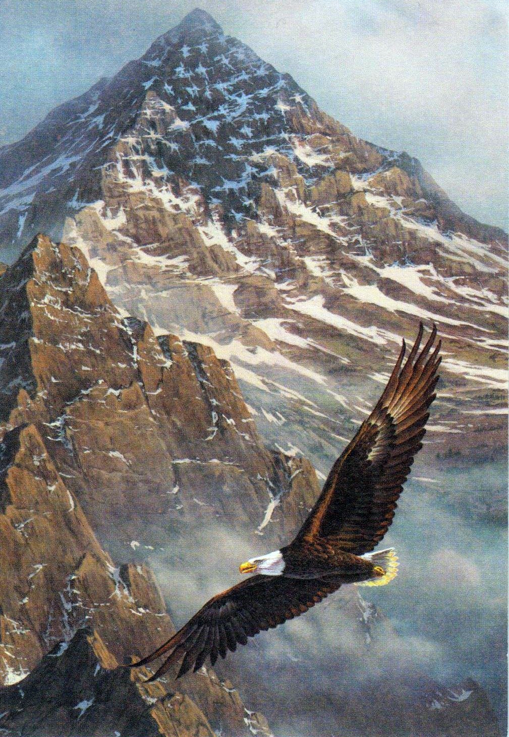 Robert Burke Jr. Obituary - Deer Park, NY